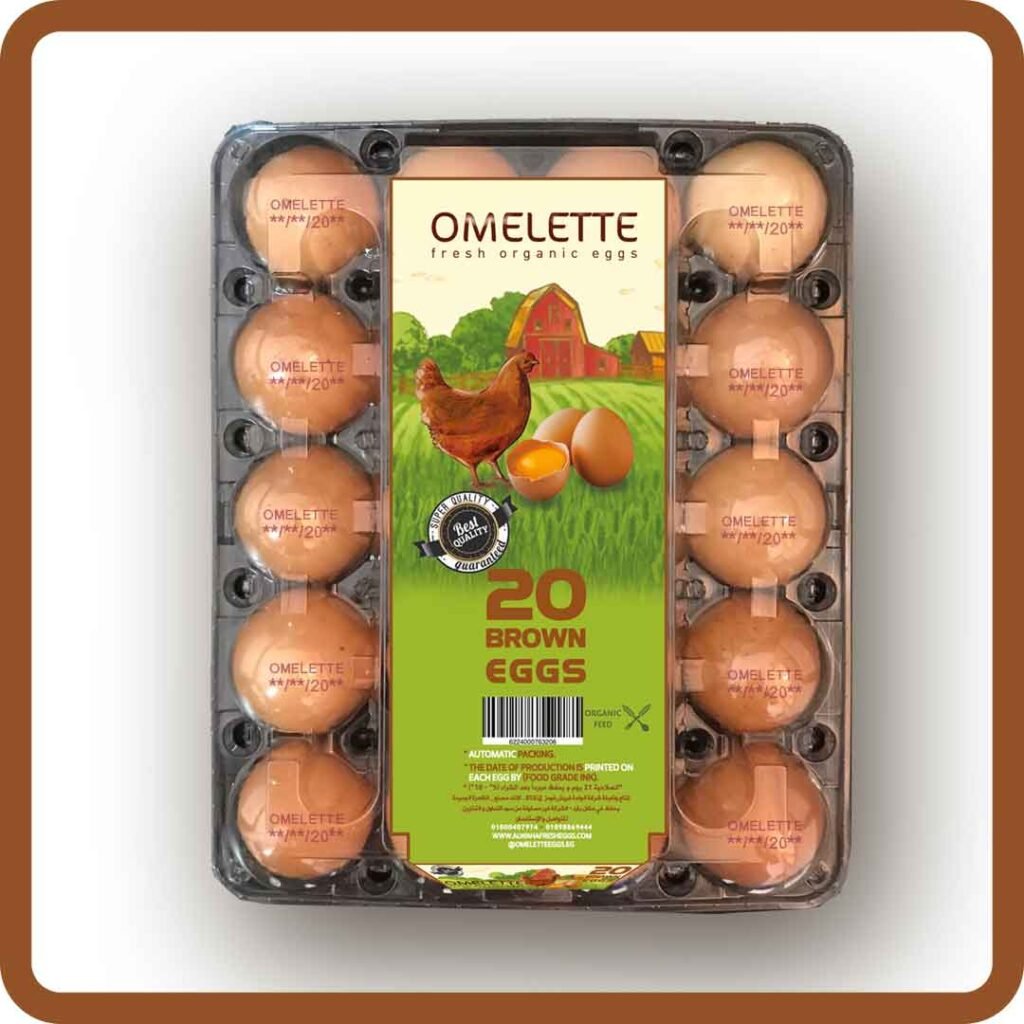 20 Brown Eggs – Omelette
